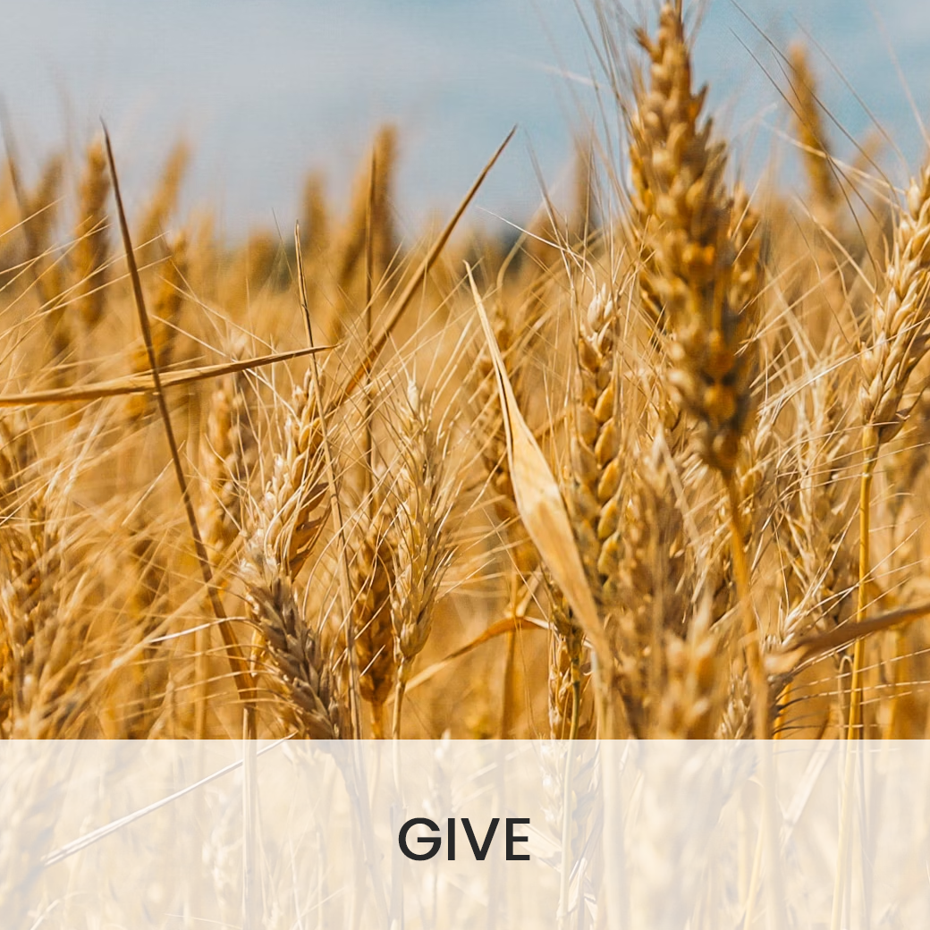 JICF – Welcome to JICF!